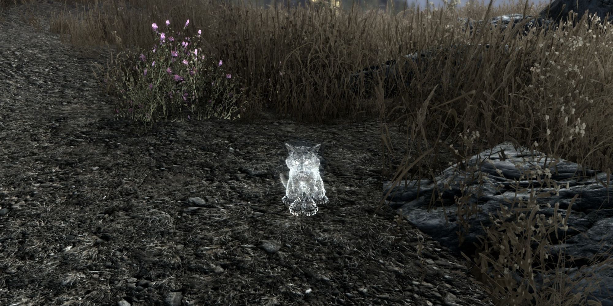 Skyrim: Best Animal Mods