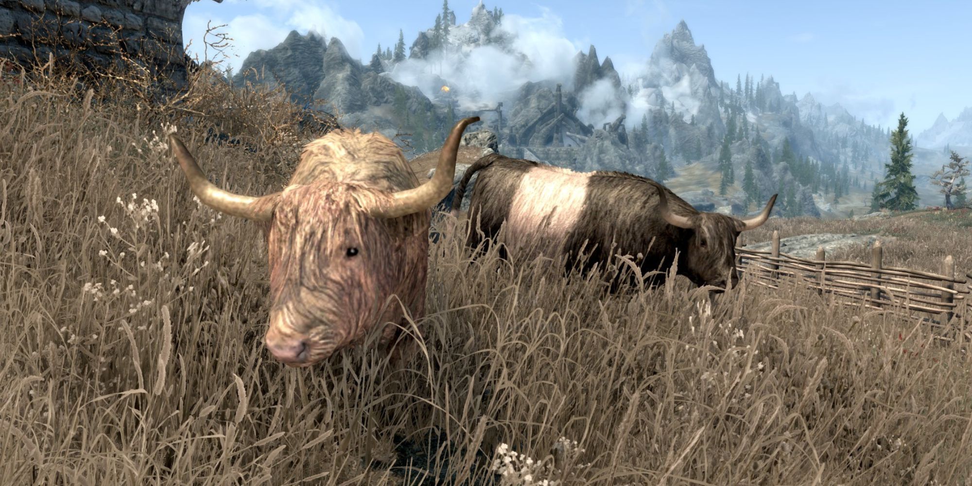 Skyrim: Best Animal Mods