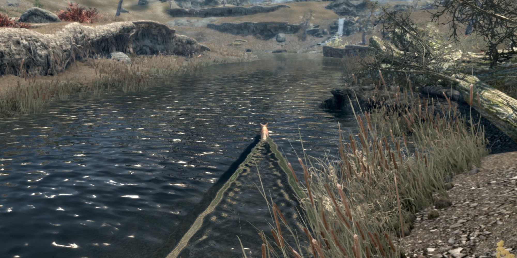 Skyrim: Best Animal Mods