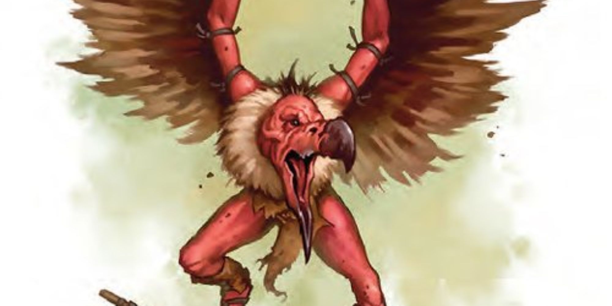 Tips For Playing An Aarakocra In DND