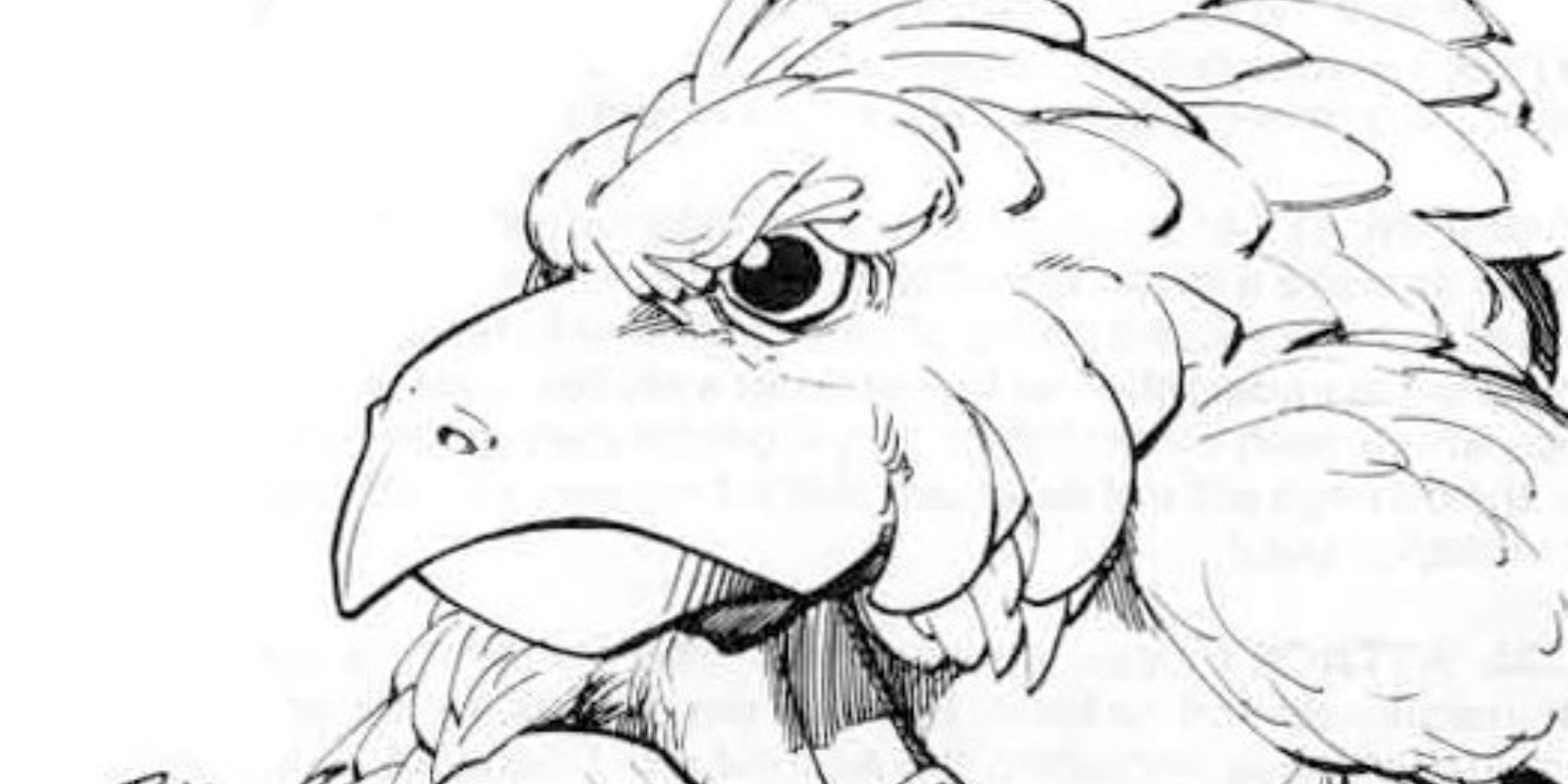 Tips For Playing An Aarakocra In DND