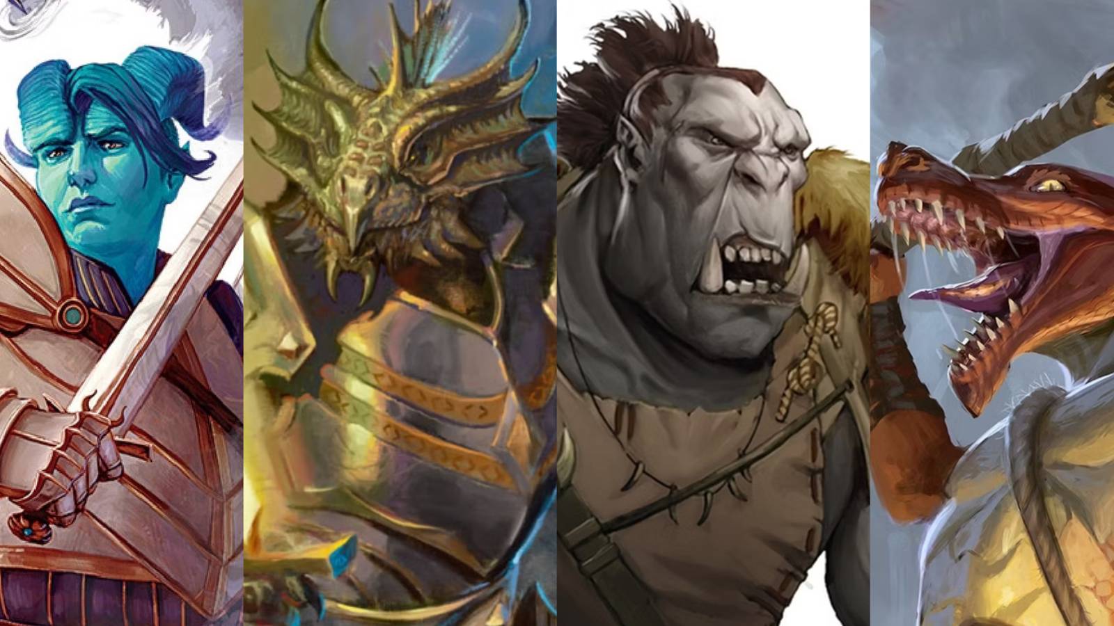 The Best Species For A Paladin In DND