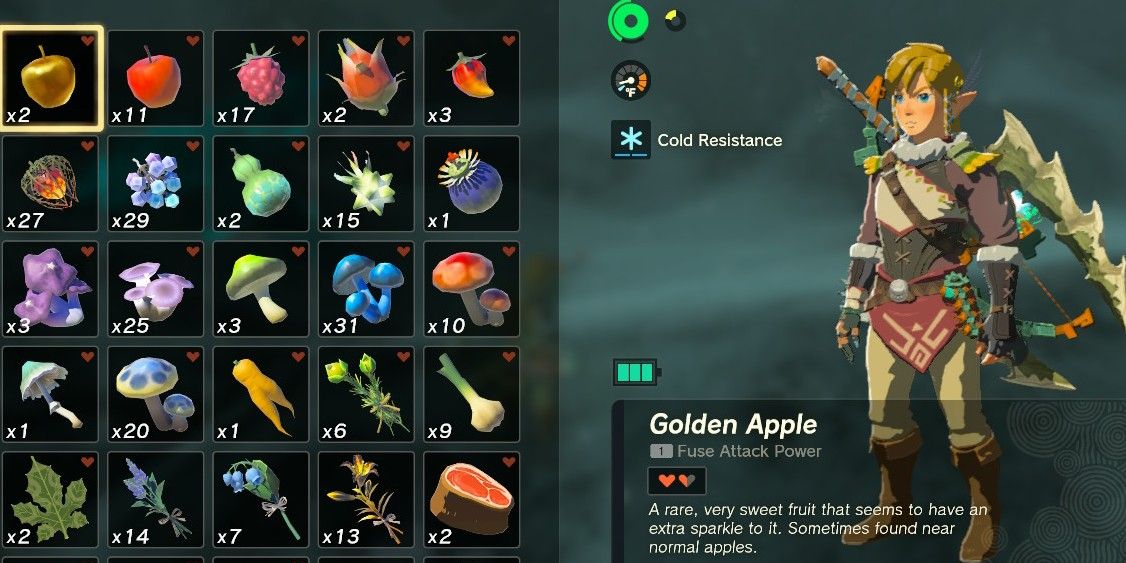 The Legend Of Zelda: Tears Of The Kingdom - Pro Tips And Tricks
