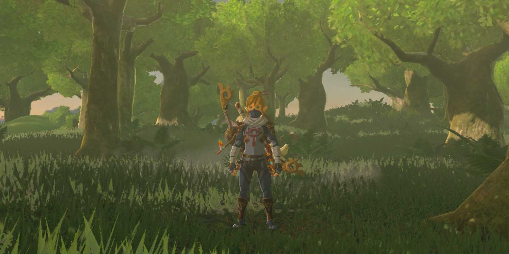 The Legend Of Zelda: Breath Of The Wild - The Best Armor Sets