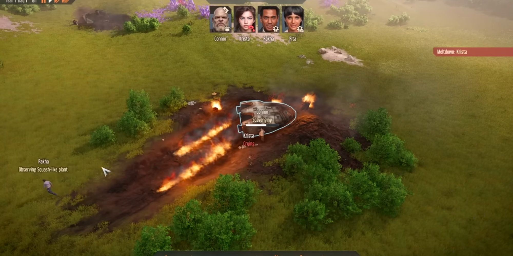 The Best Seeds In Stranded: Alien Dawn