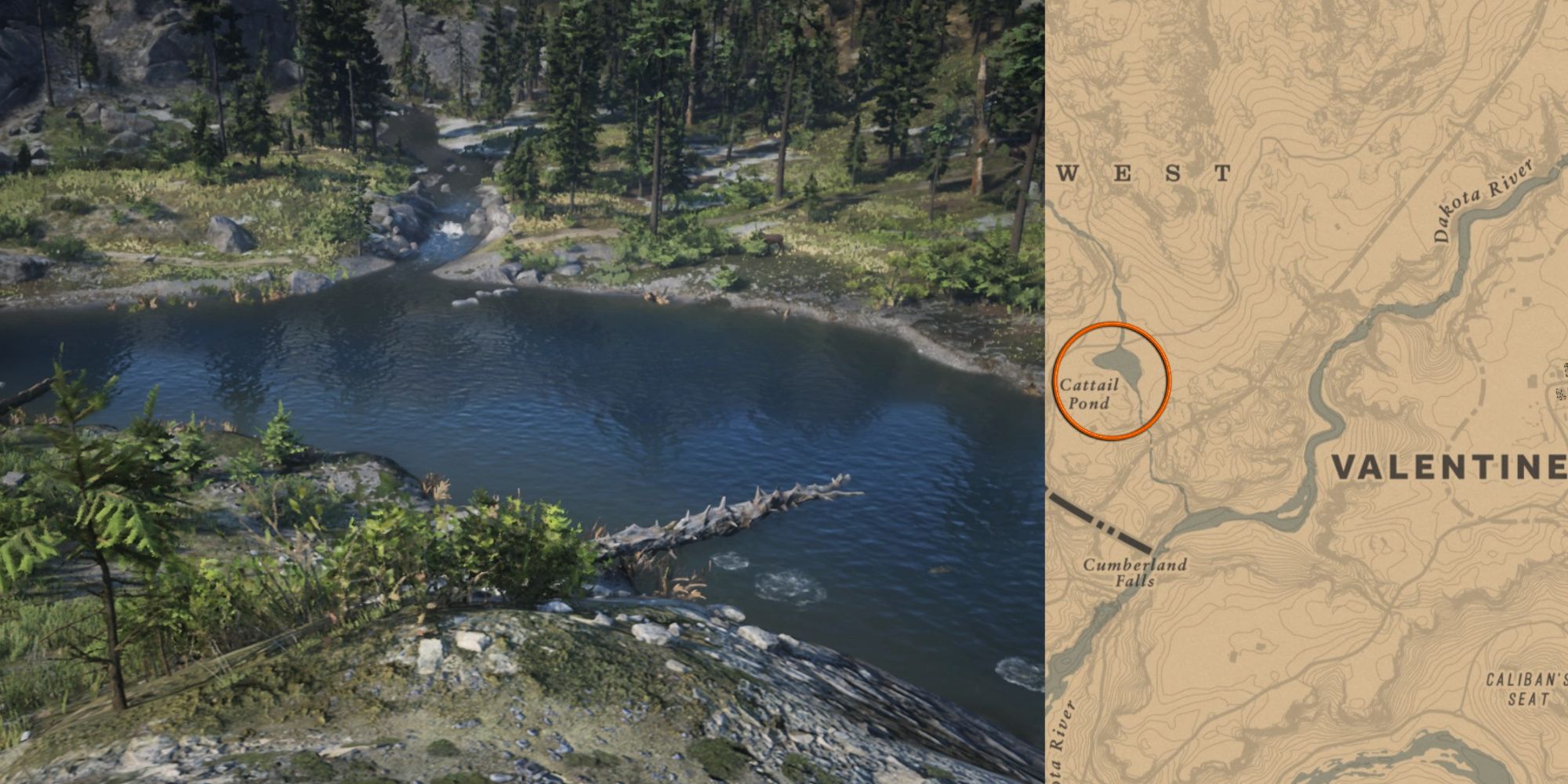 The Best Spots For Fishing In Red Dead Redemption 2