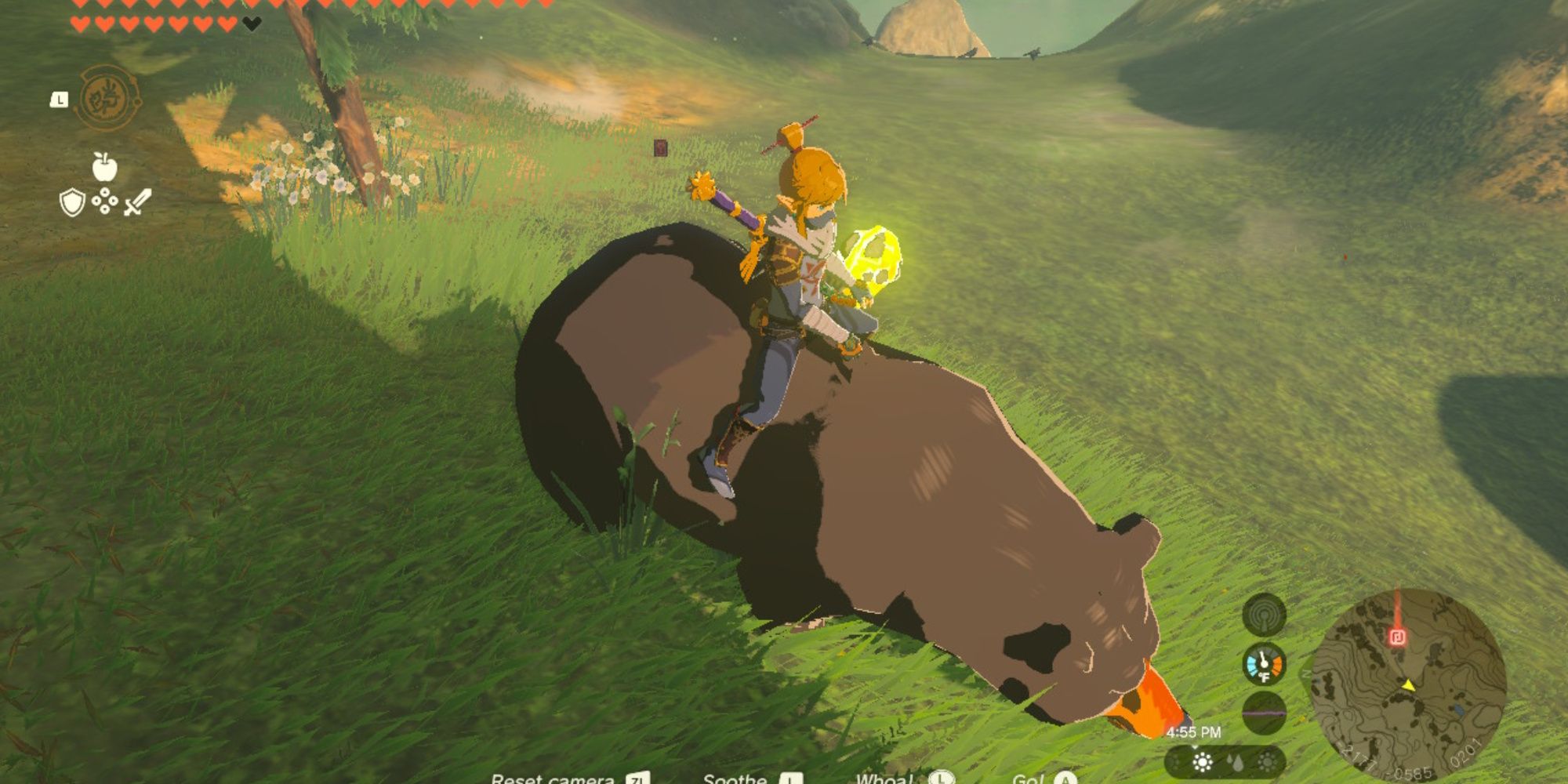 Every Creature You Can Mount In The Legend Of Zelda: Tears Of The ...