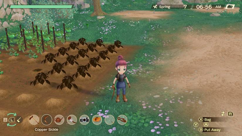 The Best Crops To Plant In Each Season In Story Of Seasons: A Wonderful ...