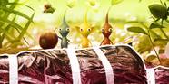 How Many Pikmin Would It Take To Carry A Dead Body How Many Pikmin Would It Take To Carry A Dead Body
