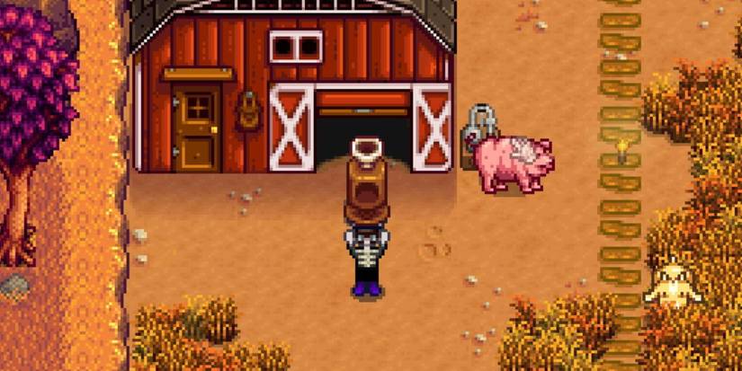 The Best Methods For Automating Your Stardew Valley Farm