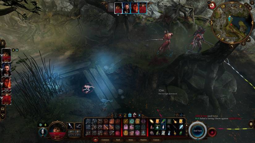 What Should You Do With The Addled Frog In Baldur's Gate 3?