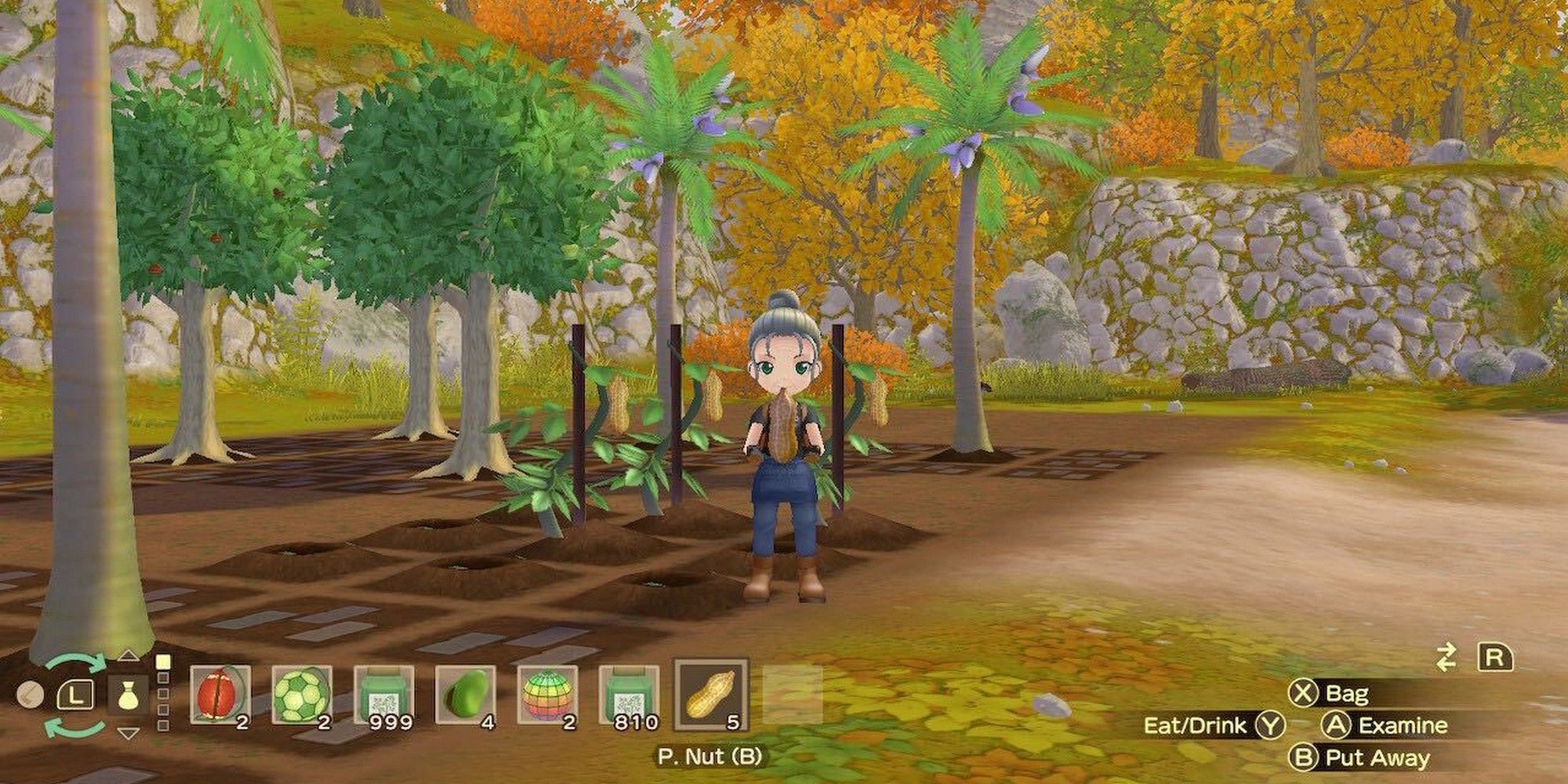 Best Custom Crops In Story Of Seasons: A Wonderful Life