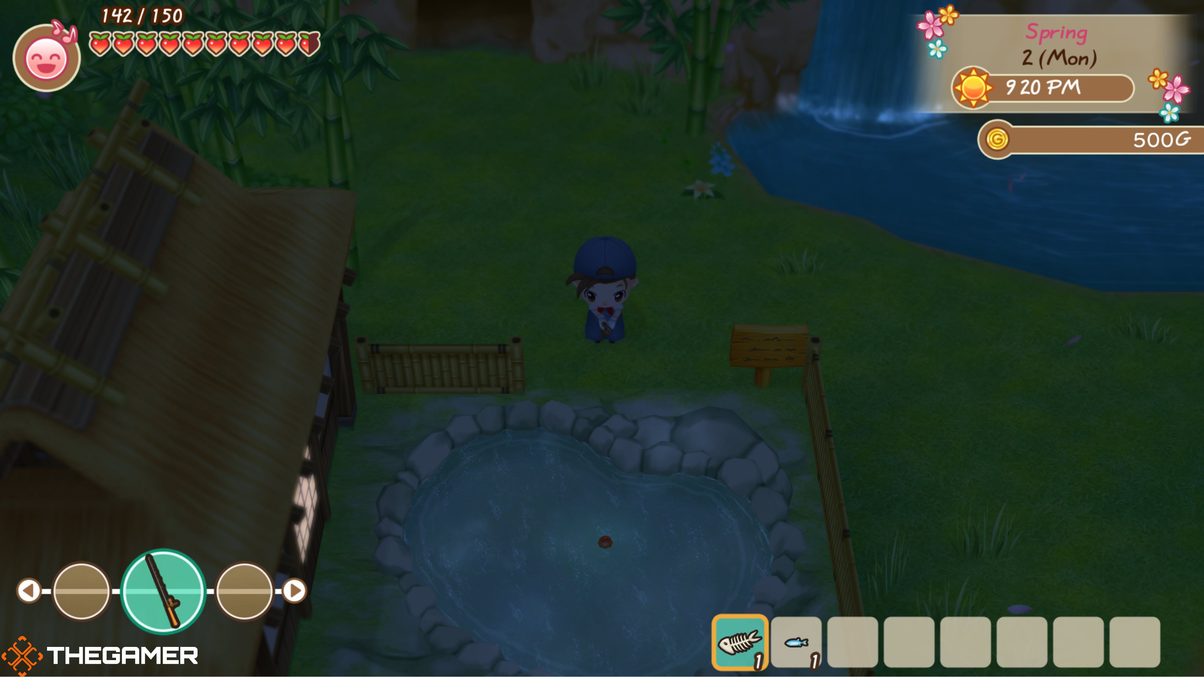 Everything You Need To Know About Fishing In Story Of Seasons: Friends ...