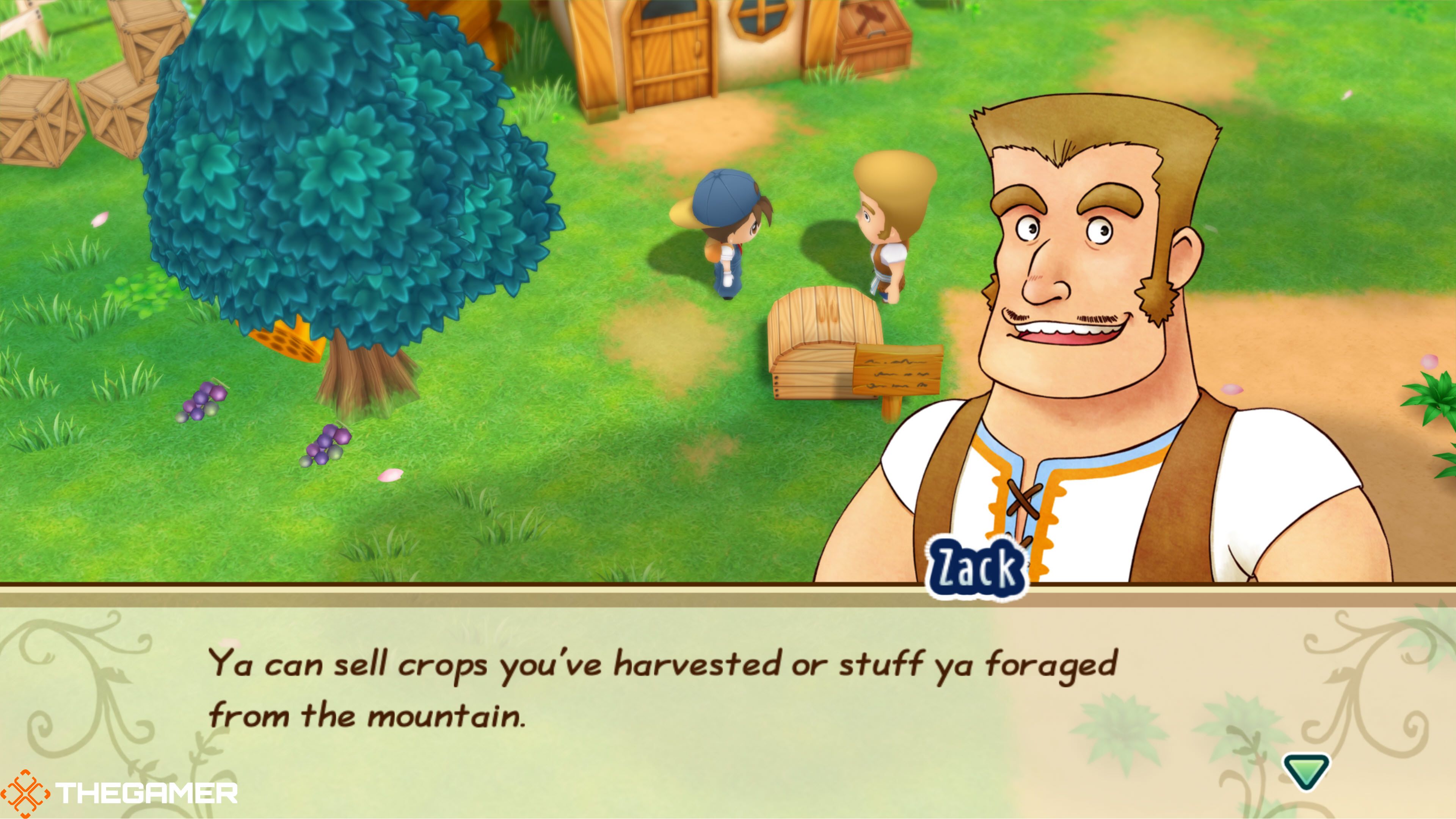 Everything You Need To Know About Fishing In Story Of Seasons: Friends ...