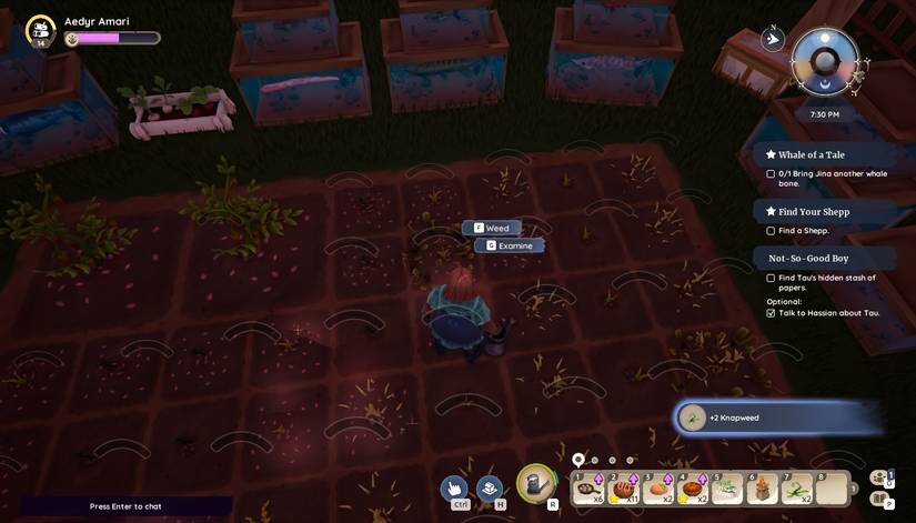How To Garden And Grow Crops In Palia