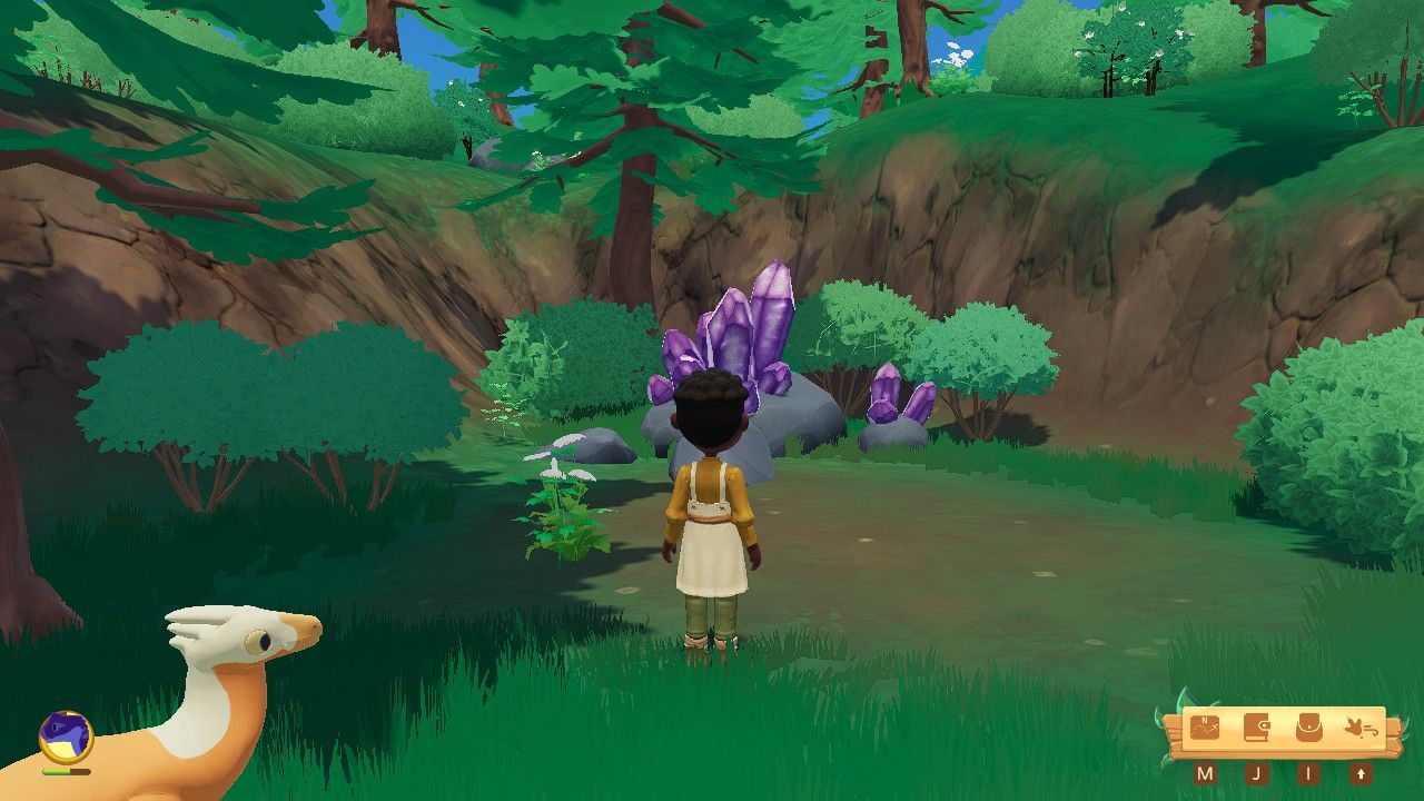 Where To Find All Natural Features In Paleo Pines