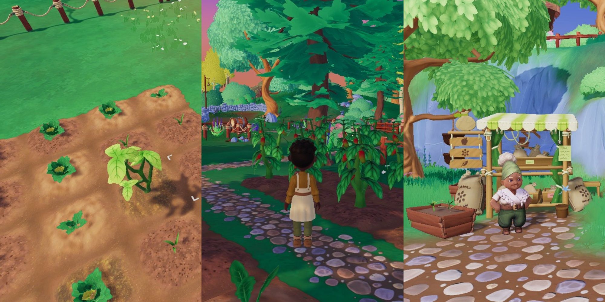 How To Garden In Paleo Pines