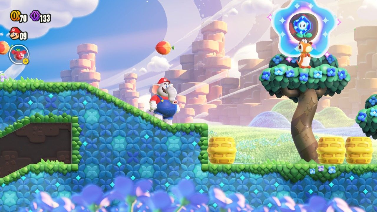 How To Get All Flower Coins And Wonder Seeds In Scram, Skedaddlers! In ...