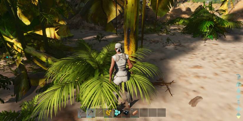 Beginner's Tips And Tricks For Ark: Survival Ascended