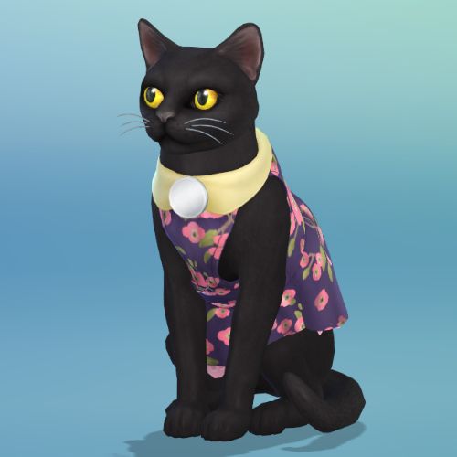 All Items In The Sims 4 My First Pet Stuff