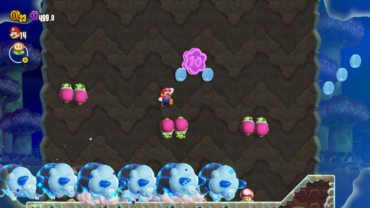 All Flower Coins And Wonder Seed Locations In Bulrush Express In Super ...
