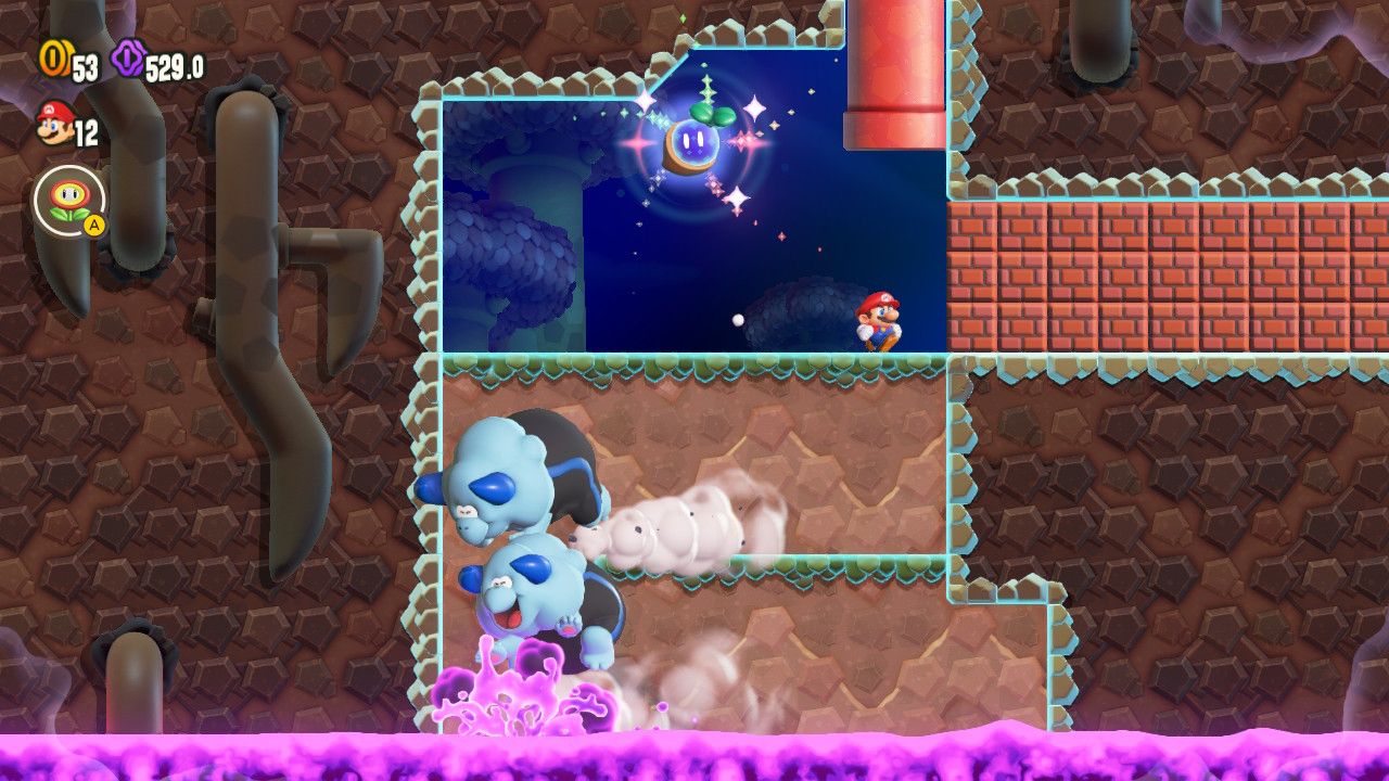 All Flower Coins And Wonder Seed Locations In Bulrush Express In Super ...