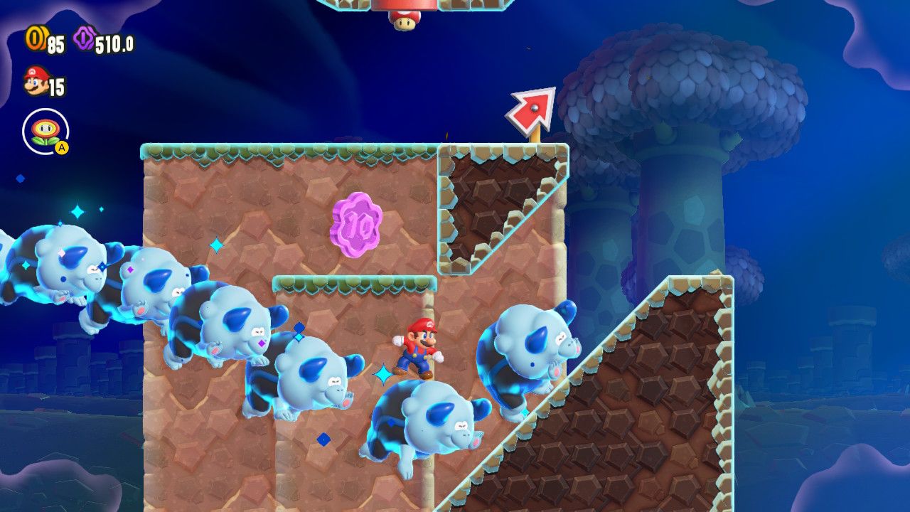 All Flower Coins And Wonder Seed Locations In Bulrush Express In Super ...