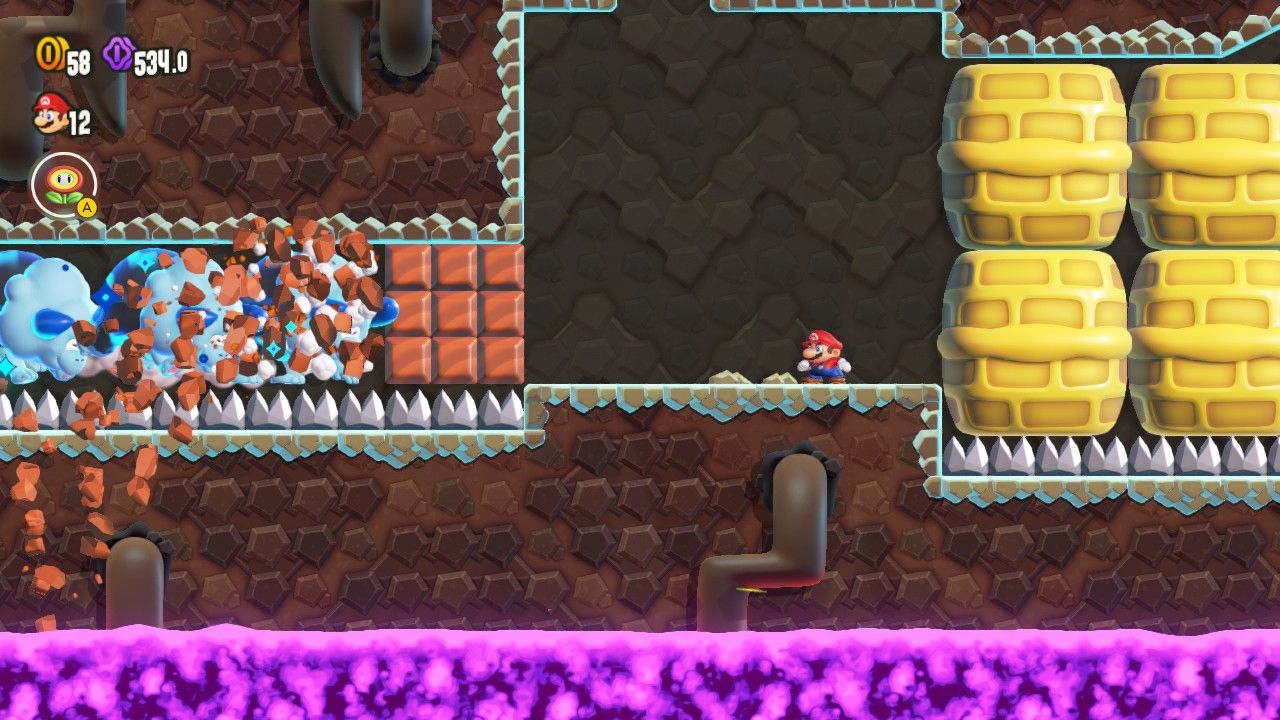 All Flower Coins And Wonder Seed Locations In Bulrush Express In Super ...