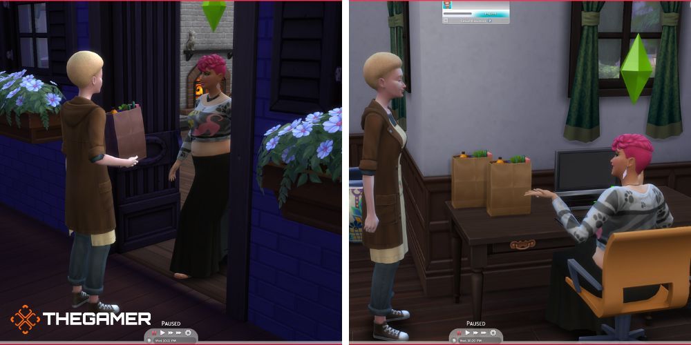 How To Buy Groceries In The Sims 4