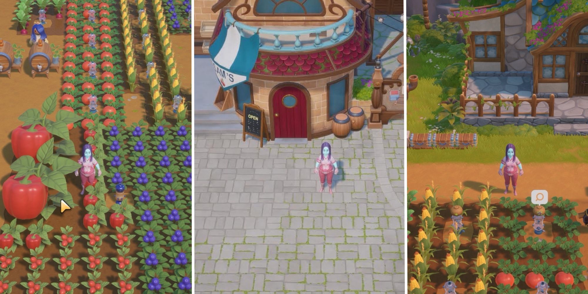 Best Crops To Plant And Sell During Summer In Coral Island