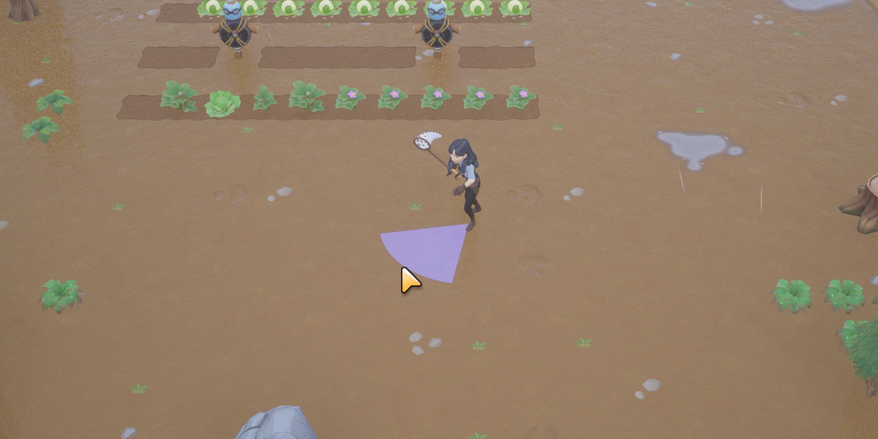 How To Catch Bugs In Coral Island