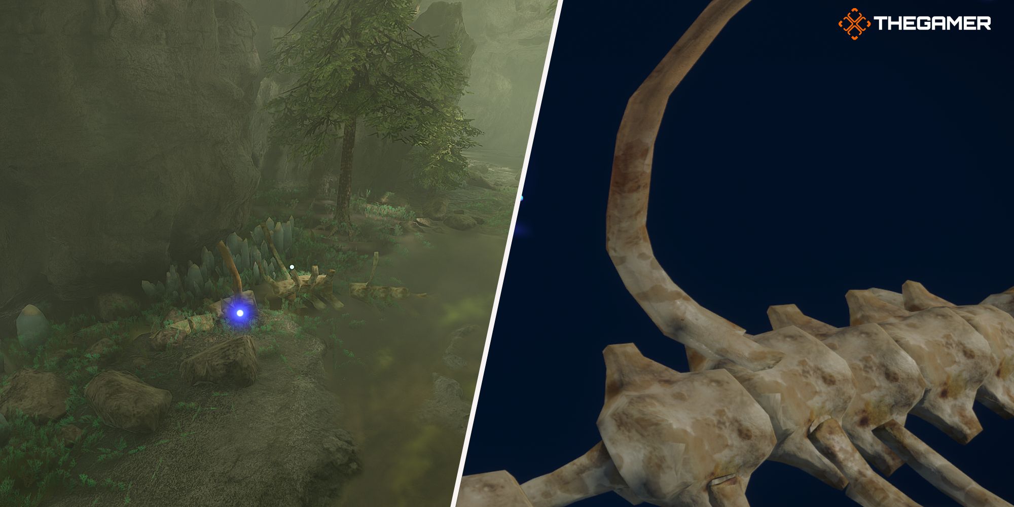 Where To Find Dense Bone In Avatar: Frontiers of Pandora