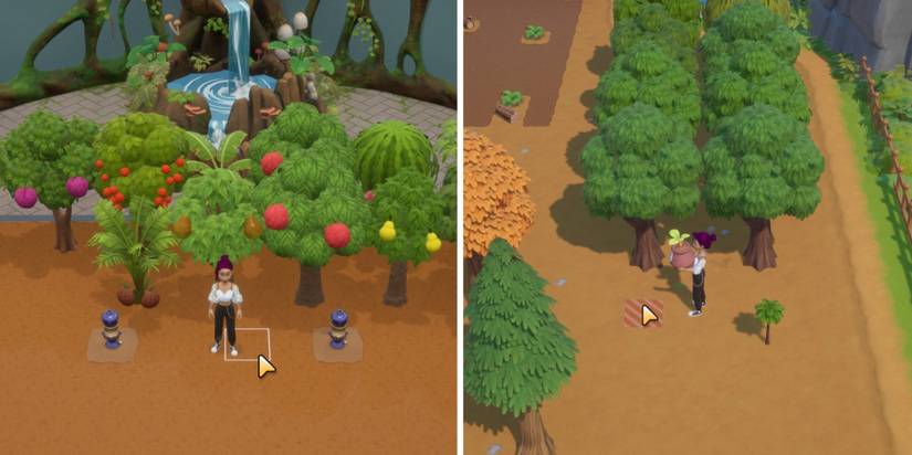 How To Plant Fruit Trees In Coral Island