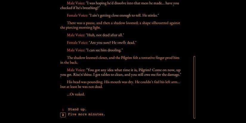 What Are The Best Text Adventure Games?