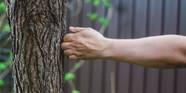 Punching Bag On Tree At Leslie Green Blog