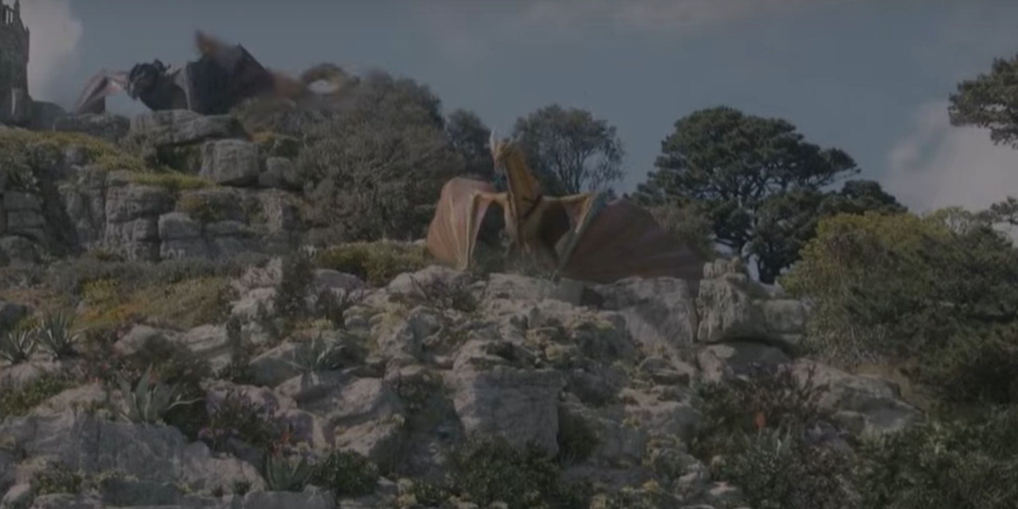 All The Dragons That Appear In Game Of Thrones And House Of The Dragon