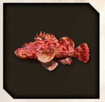 Every Dondoko Island Fish And How To Catch It In Like A Dragon ...