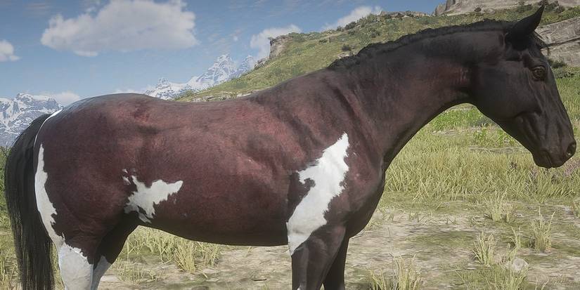 The Best Horse Breeds In RDR2