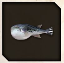 Every Dondoko Island Fish And How To Catch It In Like A Dragon ...