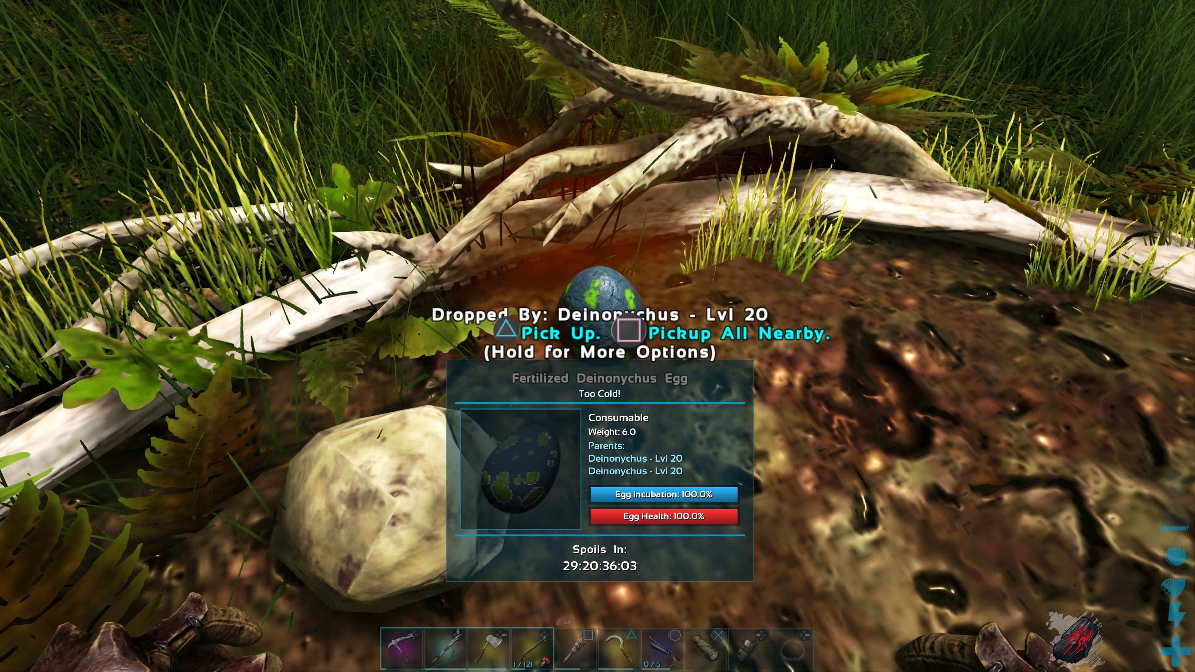 How To Find Deinonychus Nests In Ark: Survival Evolved