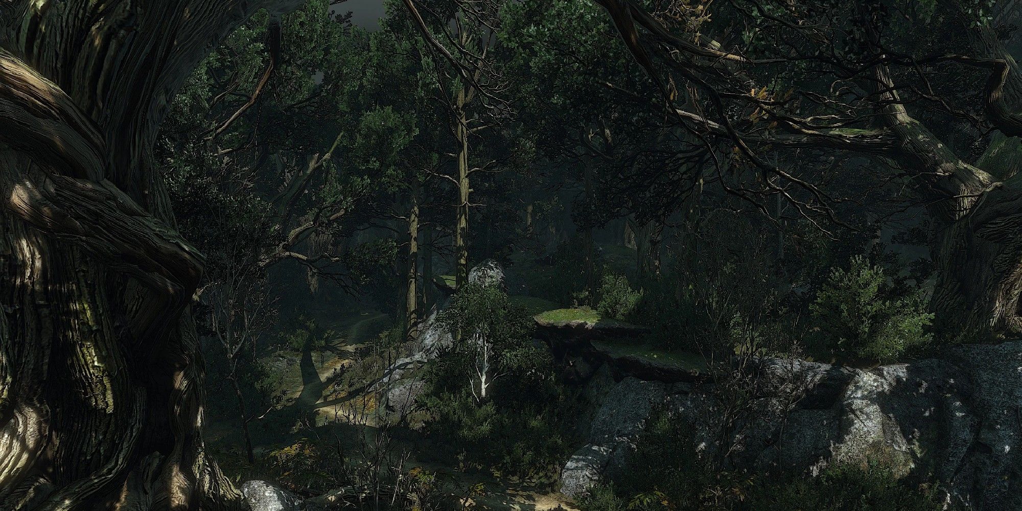 The Best RPG Forest Levels