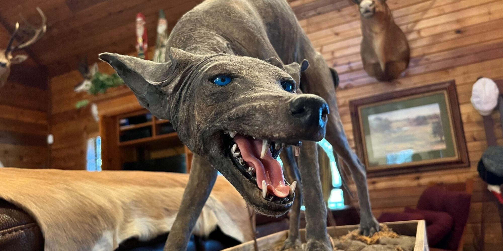 Modern Cryptids To Add To Your DnD Campaign