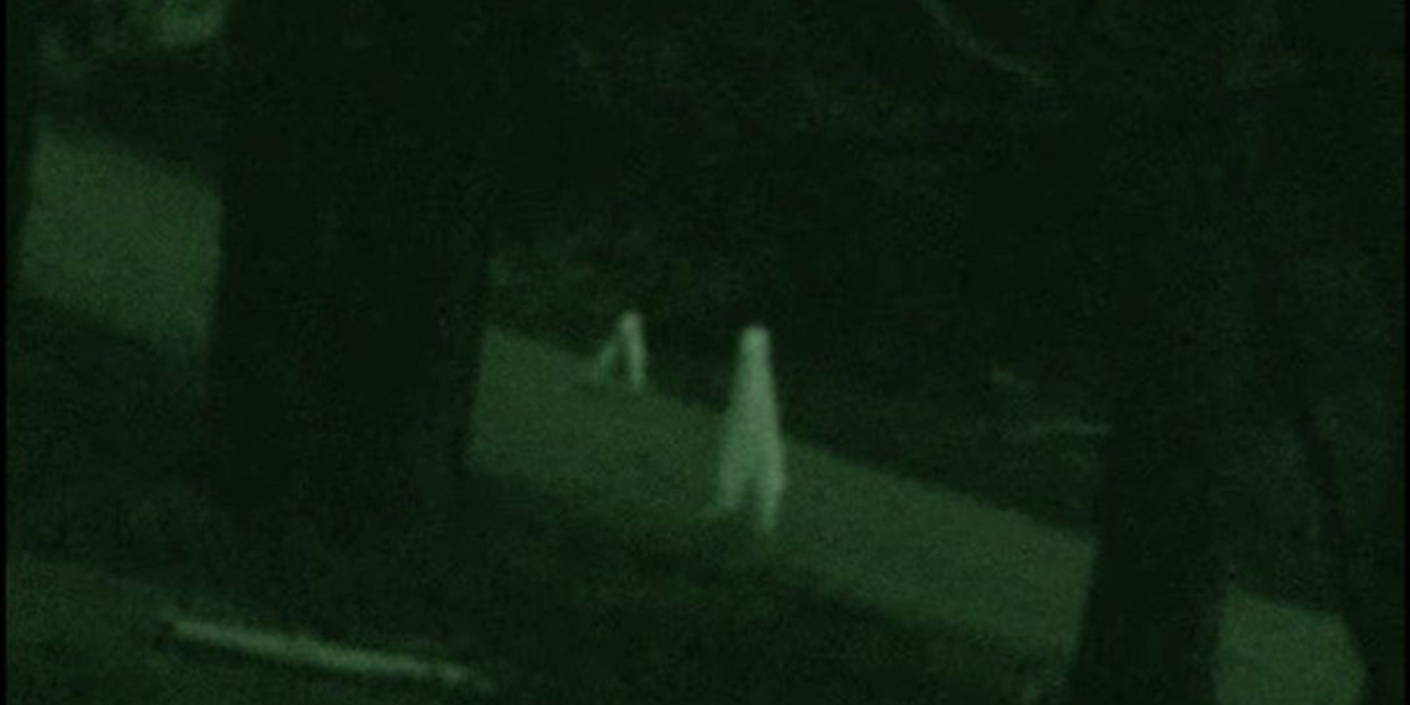 Modern Cryptids To Add To Your DnD Campaign