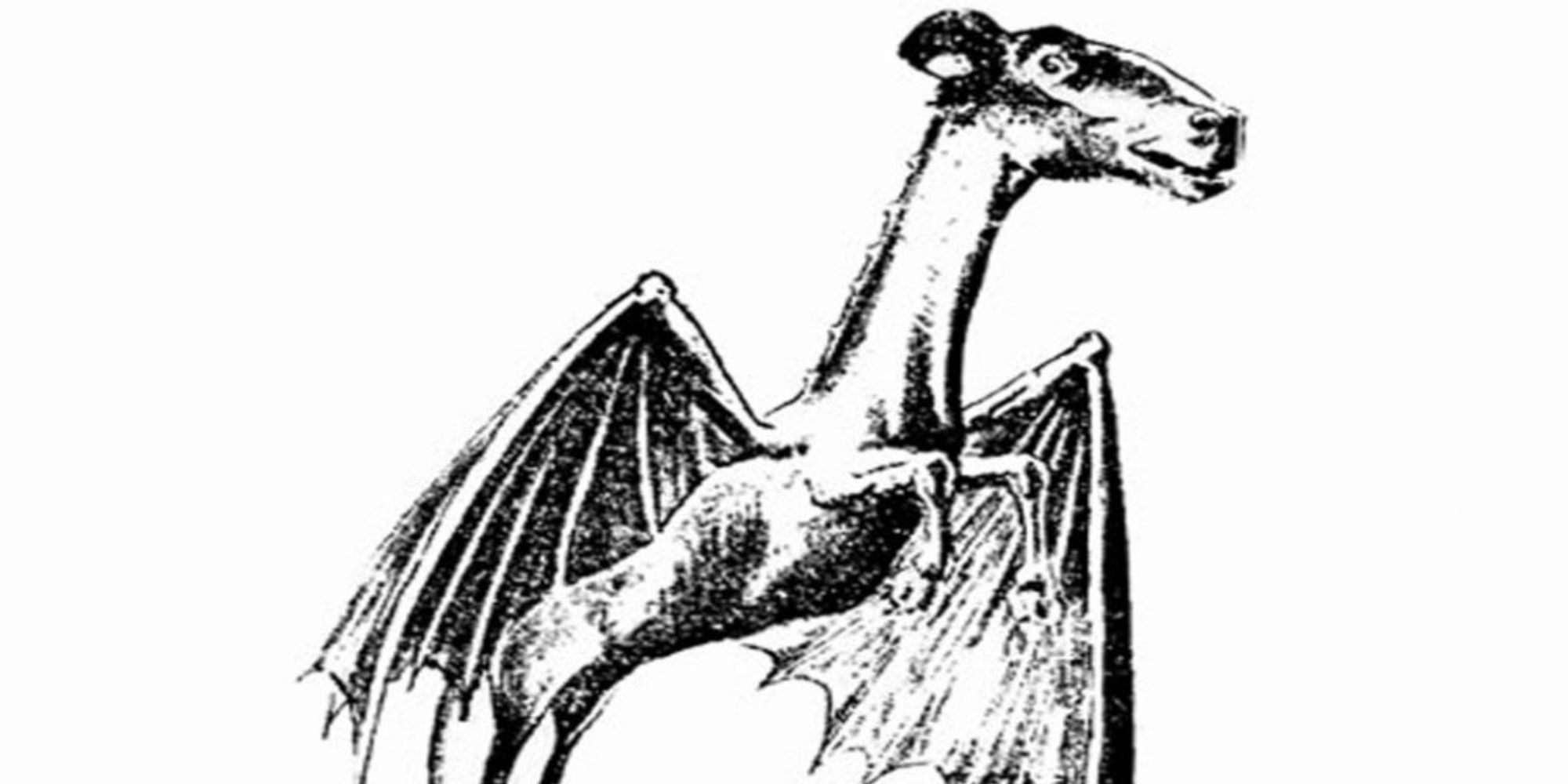 Modern Cryptids To Add To Your DnD Campaign