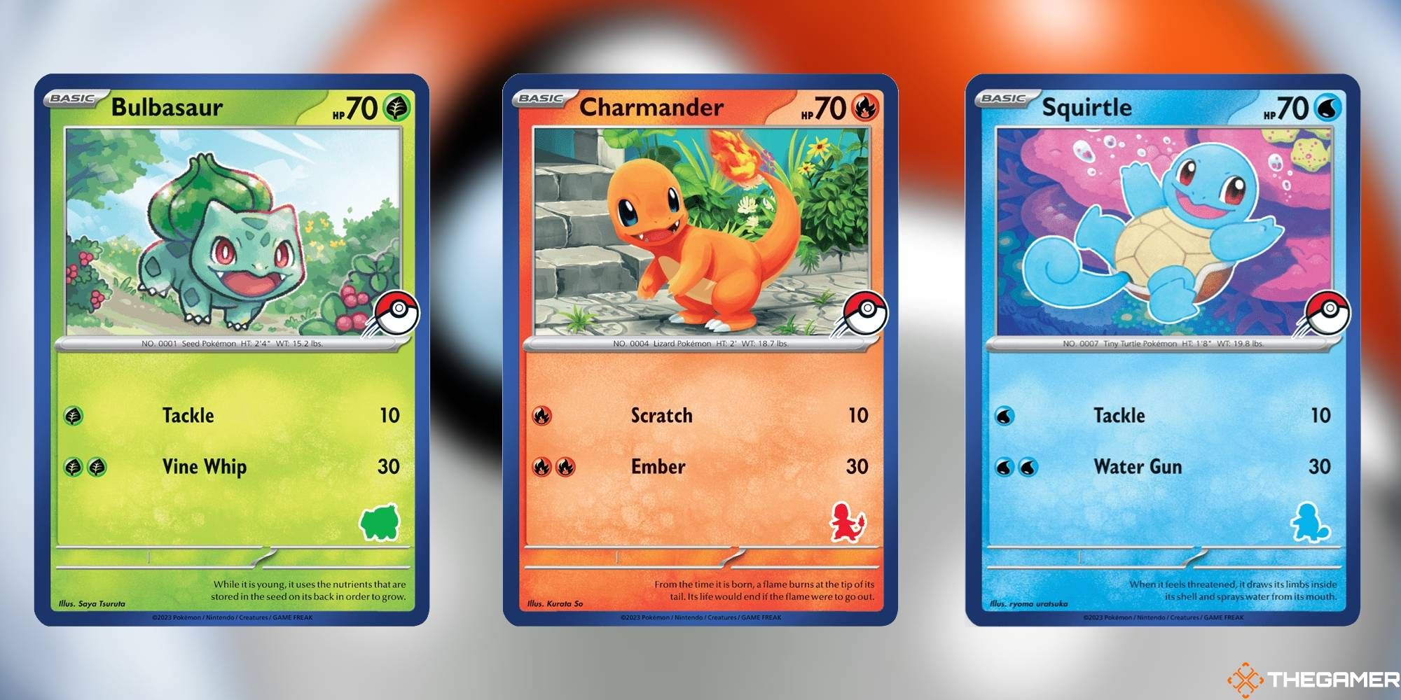 How To Play My First Battle Pokemon Tcg