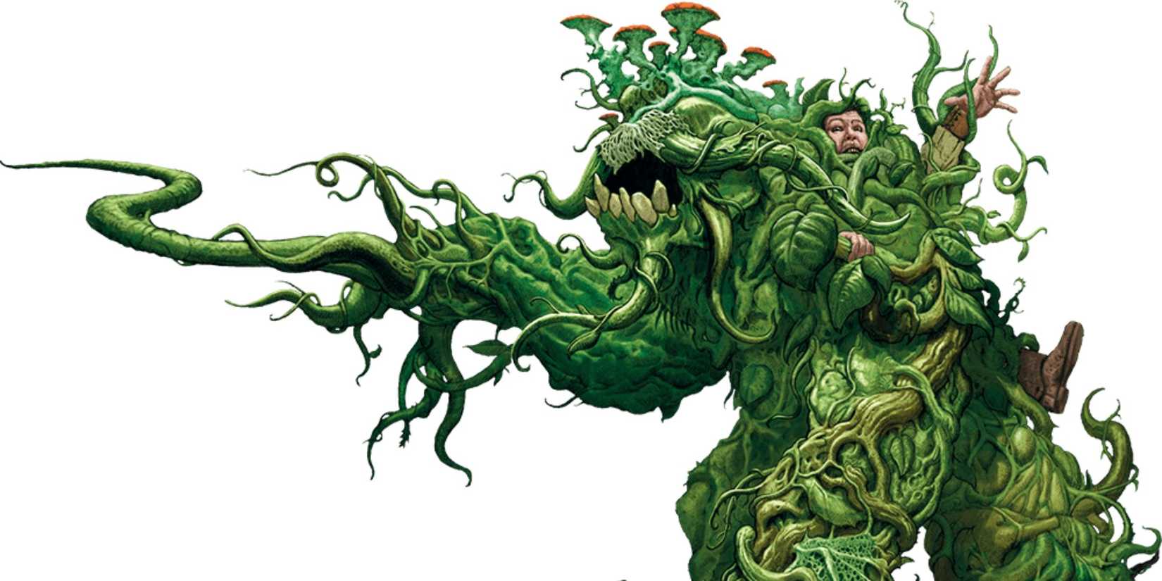 The Best Monsters For A Forest Encounter In DnD
