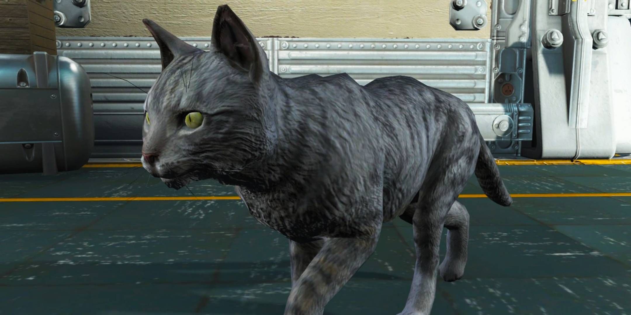 The Best Named Cats In Fallout 4