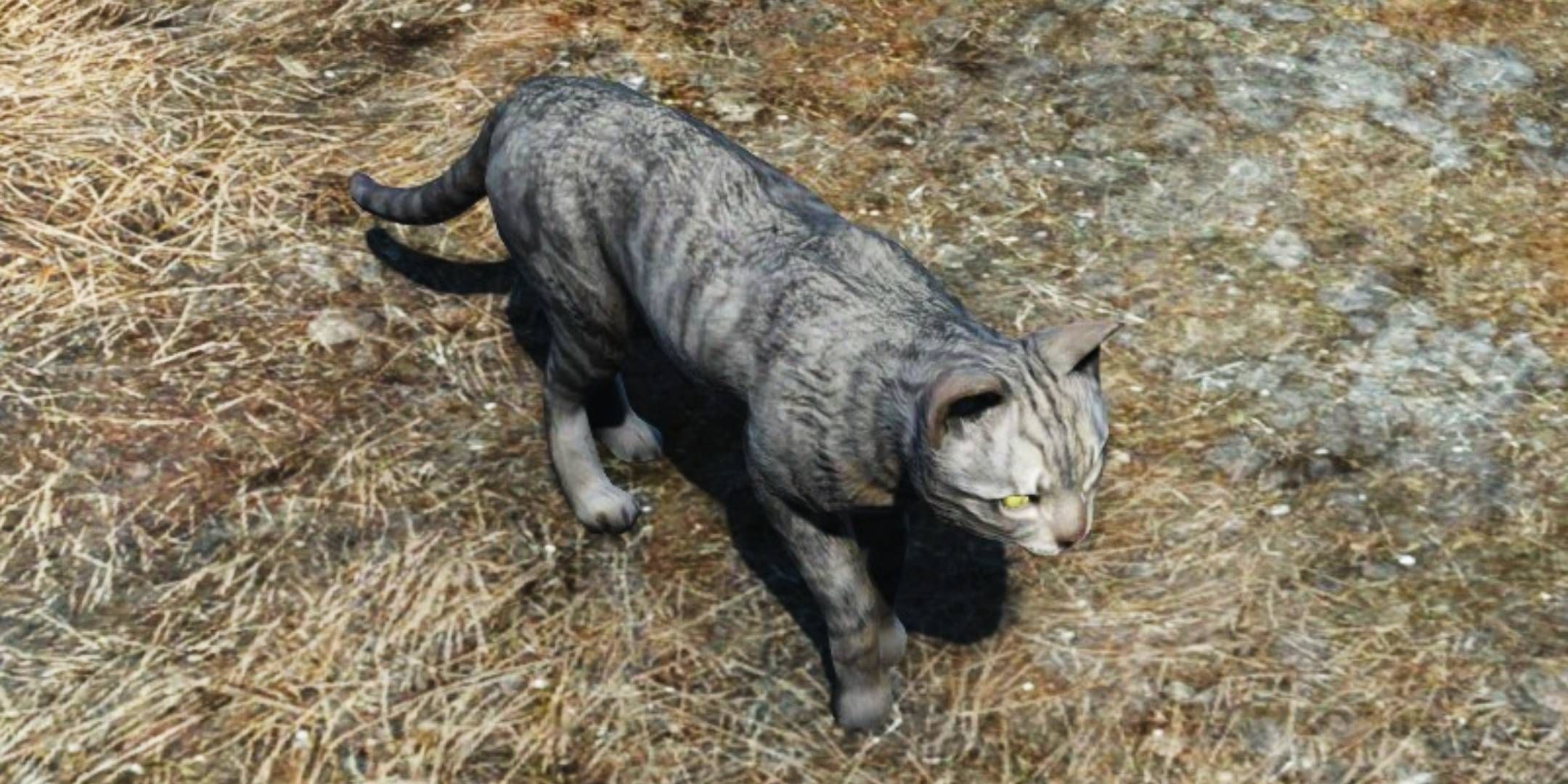 The Best Named Cats In Fallout 4