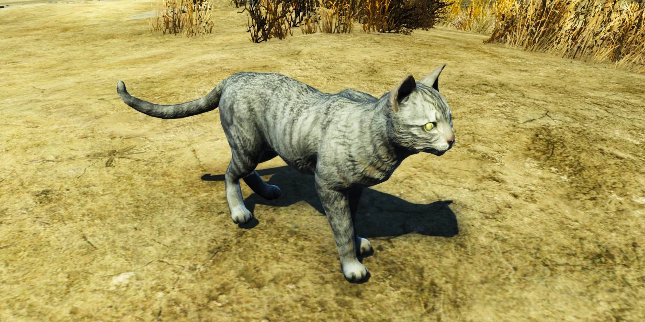 The Best Named Cats In Fallout 4