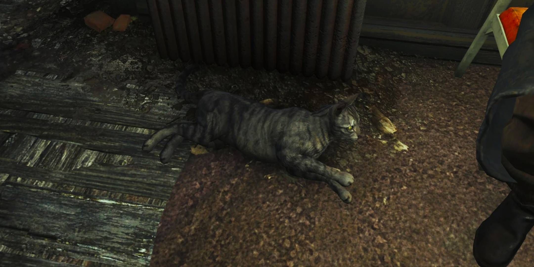 The Best Named Cats In Fallout 4
